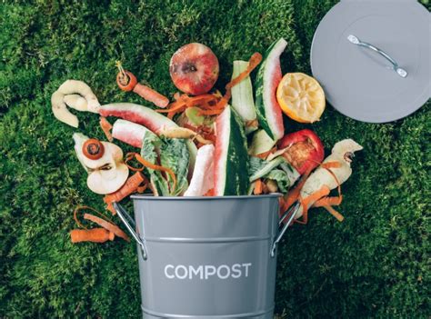 Compost Accelerators Diy Recipes And Best Practice