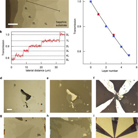 Fabrication And Characterization Of Atomically Thin Fgt Devices A