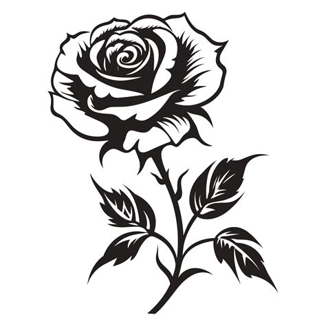 Beautiful Rose Silhouette 25070460 Png