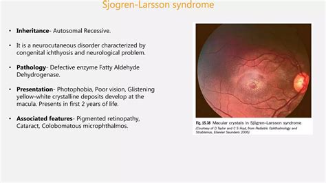 Retinal Dystrophy Pptx