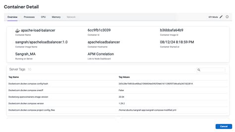 Monitor Containers With Docker Visibility