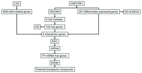 Flowchart Of The Data Analysis Download Scientific Diagram