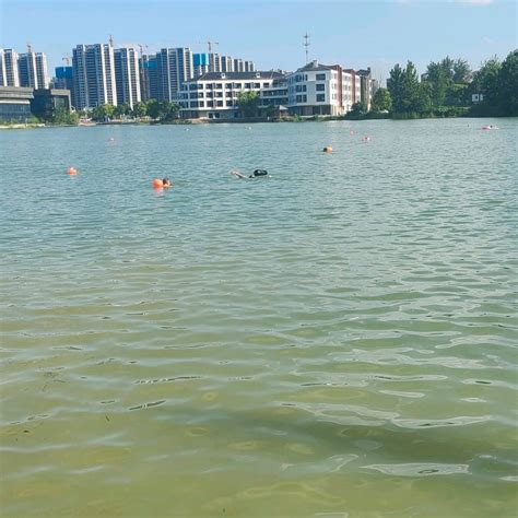 杨采钰怀孕被拒，富豪家族去母留子，祖辈规矩成谜！豪门福建陈金飞