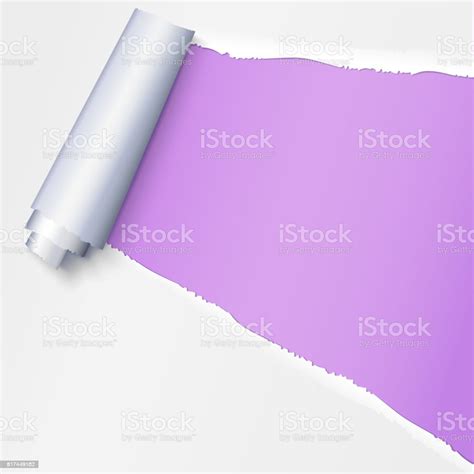 보라색 배경에 텍스트 종이에 구멍을 위한 공간으로 현실적인 찢어진된 오픈 종이 고르지 못한 찢어진 가장자리와 종이의 찢어진된 스트립 종이의 찢어진된 스트립 감기 0명에 대한