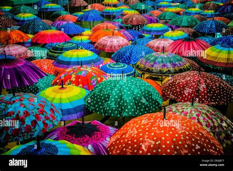 Rain And Umbrella Background