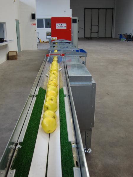Apple Grading And Sorting Machines Futura Srl Dot B