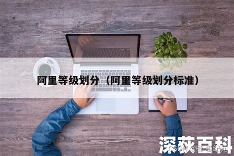 阿里等级划分，阿里评级划分（阿里等级划分标准），阿里职级 csdn博客