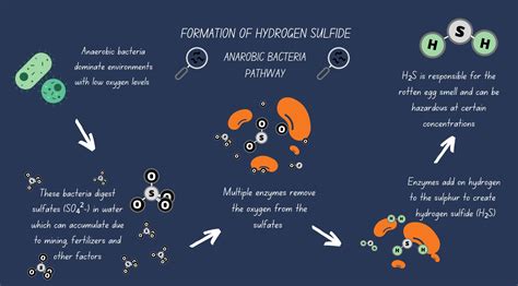 Hydrogen Sulfide Exposure Symptoms