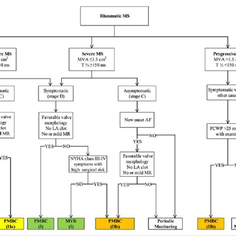 Indications For Intervention For Rheumatic Ms A Abbreviations Af