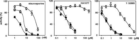 Effect Of Protein Kinase Inhibitors On The Activity Of Rho Kinase The