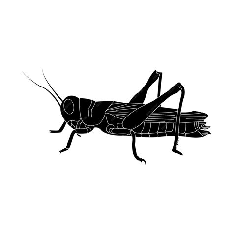 Premium Vector Grasshopper Icon