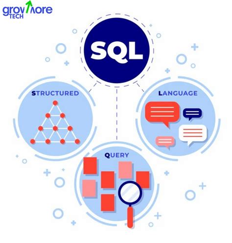 Database Managemnet Ui Oracle Sql Plsql Delivery Without Bugs Rs 1000