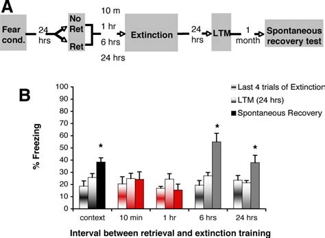 Extinction Reconsolidation Boundaries Key To Persistent Attenuation Of Fear Memories Pmc