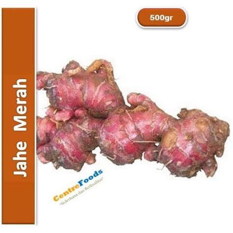 Jual Jahe Merah Fresh Red Ginger Java 500gr Harga Per 05 Kg Shopee Indonesia