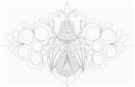 Specimen Lady Bug 1 Set Of 4 Karlee Porter