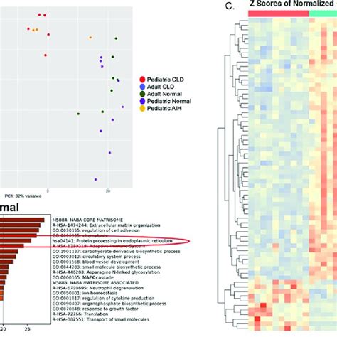 Principal Component Analysis Pca And Metascape Pathway Analysis Of Download Scientific