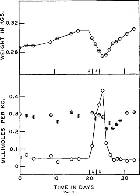 Figure 1 From The Relation Of Thyroid To Creatine And Creatinine