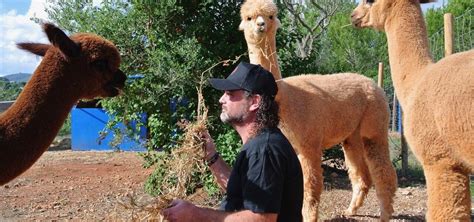 Bart Cop In Ibiza Het Spook Van De Bureaucratie June A Travel Magazine