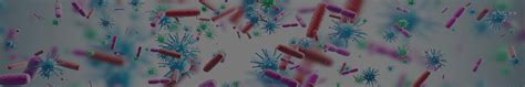 Targeted Nanopore Sequencing For Bacterial And Viral Classification