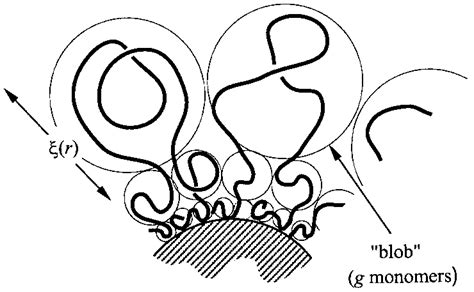 Drawing Of The Layer By Analogy With A Semidilute Solution The Layer