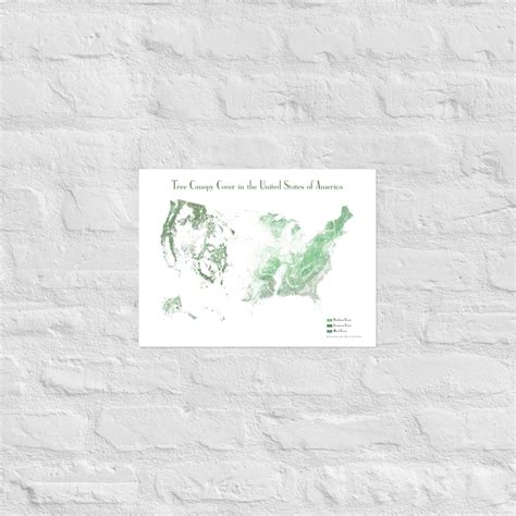 United States Tree Cover Map Poster Etsy
