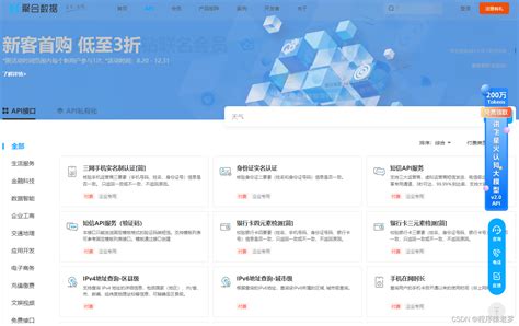 国内领先的五大api接口供应商国内api Csdn博客 国内领先的五大api接口供应商国内api Csdn博客