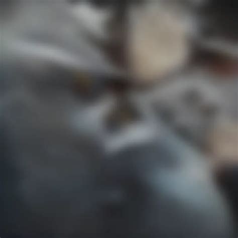 Understanding Joint Dislocation Causes And Management