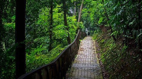 Taman Eko Rimba