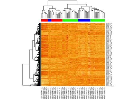 Module 1 Exploratory Data Analysis And Clustering Analysis Using R 2024