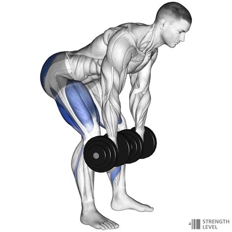Can You Do Romanian Deadlift With Dumbbells At Stephanie Kingston Blog