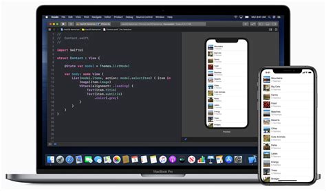 Neuroscience Swiftui Resources Neuroscience Club