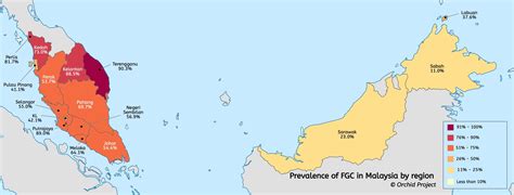 Malaysia Fgmc Research Initiative Orchid Project