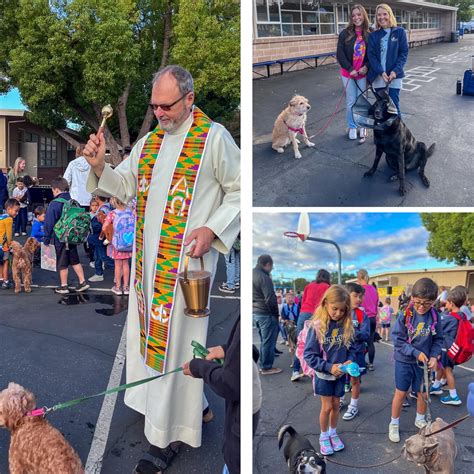 Diocese Of San Jose Added A New Photo Diocese Of San Jose