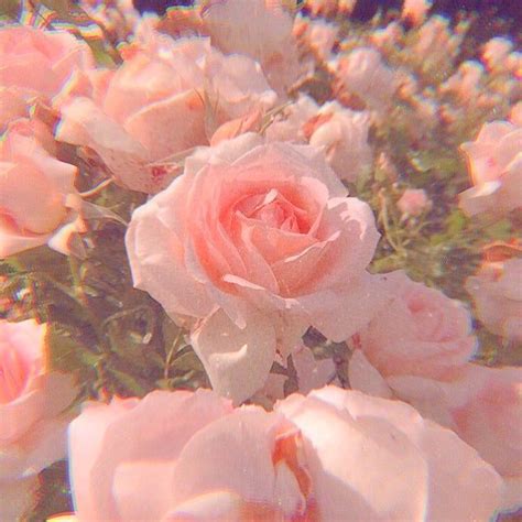 𝐓𝐇𝐄𝐌𝐄 𝐒𝐇𝐎𝐏 Pastel Pink Aesthetic Pink Aesthetic Flower Aesthetic