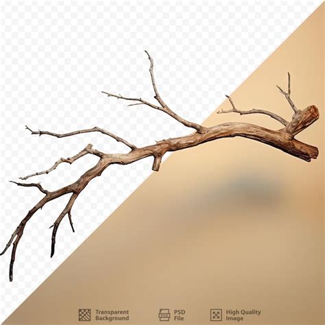 Premium Psd Dead Branches Of A Tree