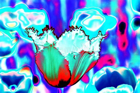 Esquema De Cores Alterado Do Fecho Das Flores Tulipas Fundo Colorido Brilhante Ilustração