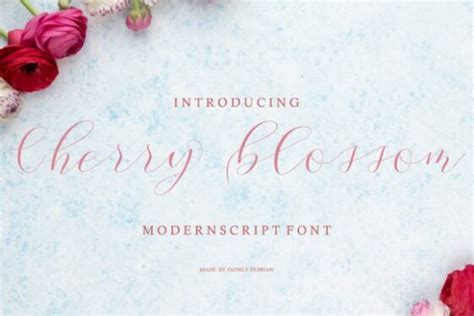 Cherry Blossom Script Font Font Canyon