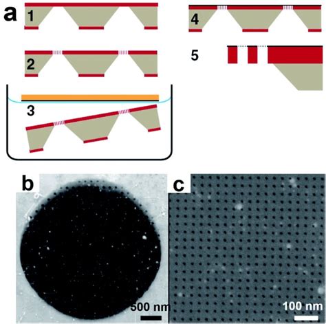 国家纳米科学中心韩宝航课题组j Mater Chem A先进的多孔石墨烯材料 从面内造孔到储能应用 材料牛