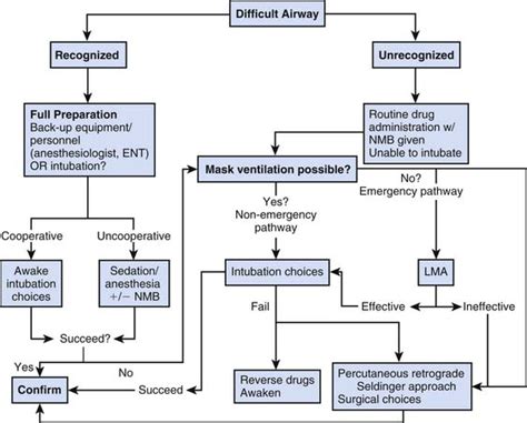 Airway Management Anesthesia Key