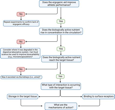 Decision Flow Chart For Considering The Efficacy Of Ergogenic Aids In