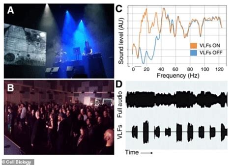 Low Frequency Bass Gets People On The Dancefloor Study Finds Express