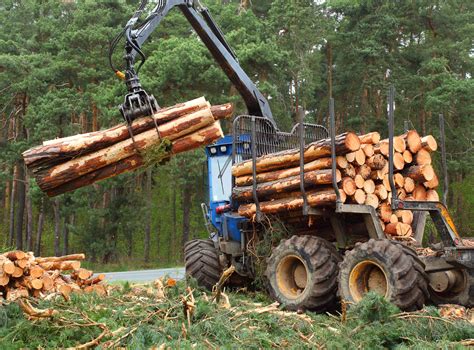 Forwarder2020 Utilizes Advanced Hydraulics To Protect Forests Stucchi Usa