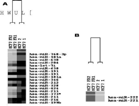 Figure 1 From Computational Analysis Of Microrna Profiles And Their Target Genes Suggests