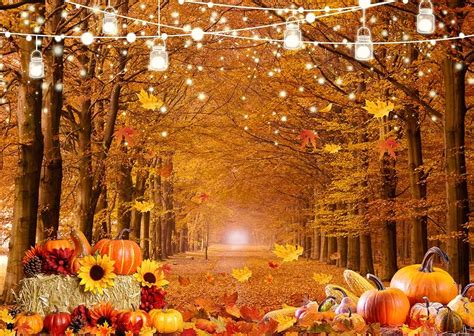 Autumn Desktop Fall Background