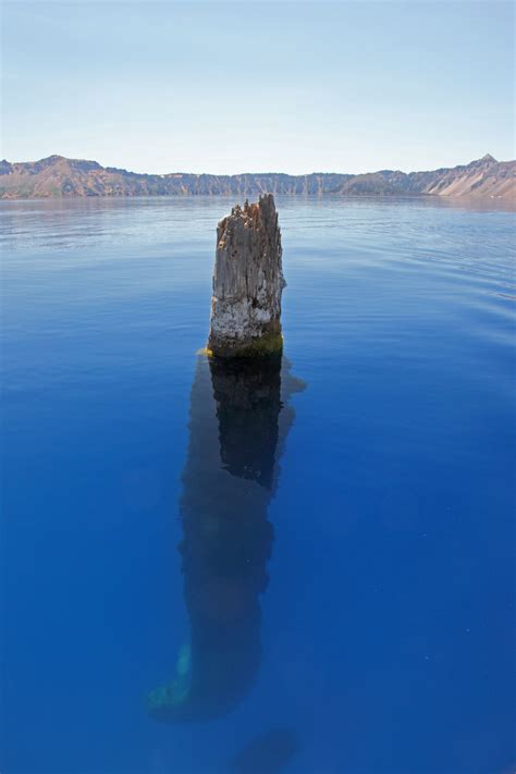 Old Man Of The Lake Visiting The Old Man Of The Lake At Crater Lake