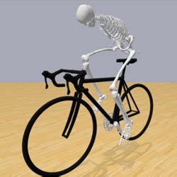 Simtk A Biomechanical Model For Joint Functioning Of Neck And Shoulder Project Home