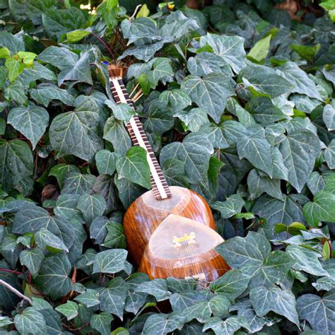 Persian Tar String Instrument Handcrafted By Iran Saz Model Shahkar