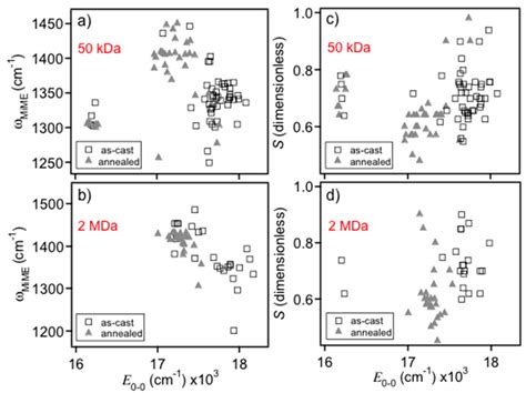 Understanding The Structural Evolution Of Single Conjugated Polymer Chain Conformers