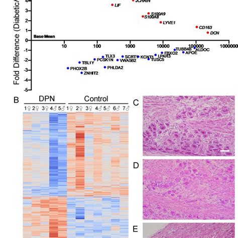 Representative Images And Comparison Of Rnascope Data Rnascope Data
