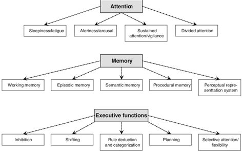 Overview And Simplified Global Classification Of The Main Cognitive